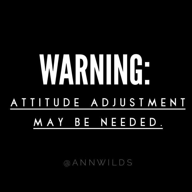 How to Adjust an Attitude – Ann Wilds